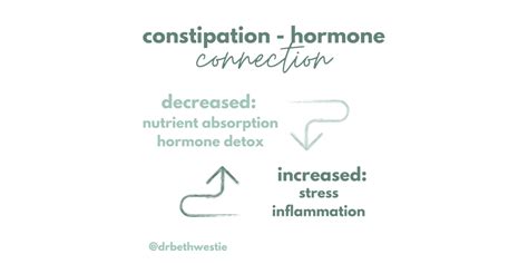 The Constipation Hormone Connection Dr Beth Westie
