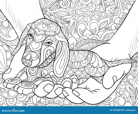 O Livro Para Colorir Adulto Pagina Um Cão Pequeno Bonito Nas Mãos No Fundo Floral Para Relaxar