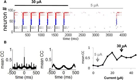 Transient Synchronization In Response To Stimulation A Spike Raster