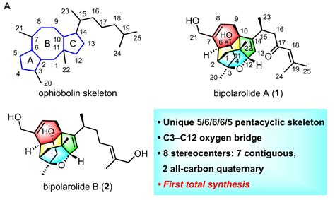 北京大学药学院贾彦兴团队发表天然产物全合成领域最新研究成果 生物通
