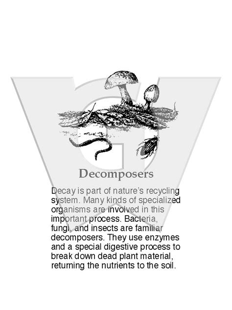 Decomposers Sign Wilderness Graphics Inc