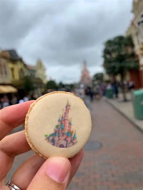 Inside The Disneyland Paris Castle Photos And More Our Adventure