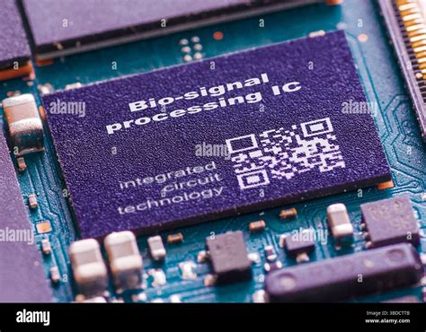 Bio Signal Processing Microchip Processes Physiological Signals Such
