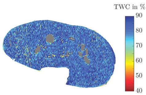 Algorithms Special Issue Algorithms In Hyperspectral Data Analysis