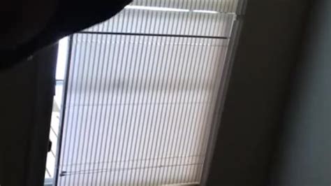 Phat Ass Redbone Takes Bbc Free Sex Video Redtube