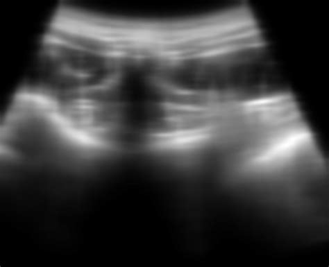 Gabor Filter Response Feature Download Scientific Diagram