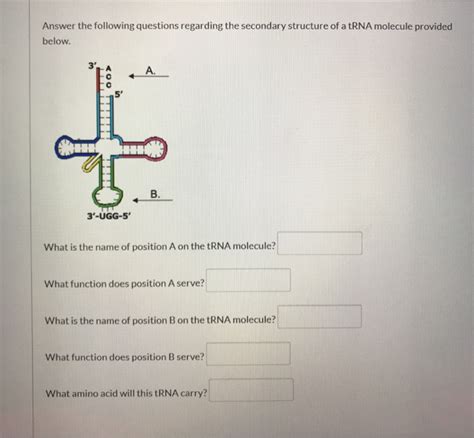 Solved Answer The Following Questions Regarding The Chegg Com