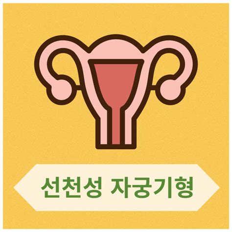 쌍각 자궁 중격자궁 중복자궁 선천성 자궁기형 증상 네이버 블로그
