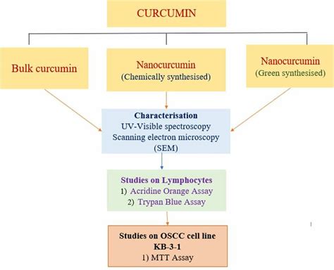 Experimental Flowchart Depicting The Procedures Of Synthesis Download Scientific Diagram