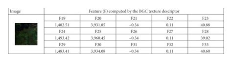 illustration of features computed by the bgc texture descriptor a an