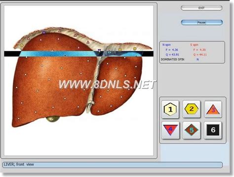 Bioplasma 3d Nls Innovative Health Diagnostics By Maikong Co Ltd
