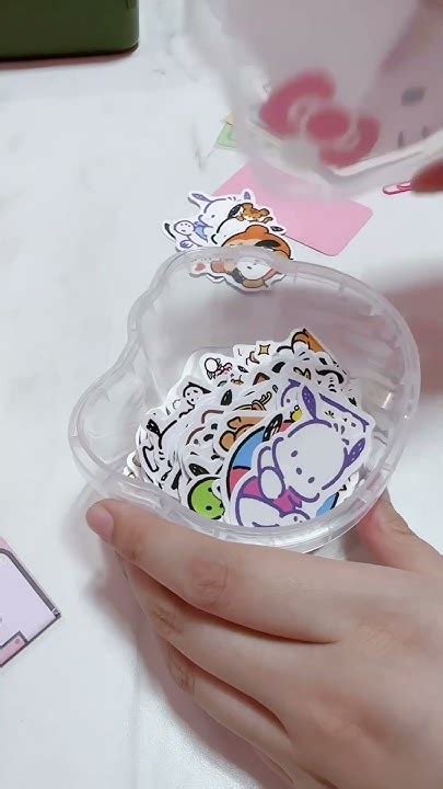 밤에 포차코 포장하기 포장asmr 포장 산리오 Youtube