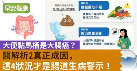 大便黏馬桶是大腸癌？醫解析2真正成因，這4狀況才是腸道生病警示！