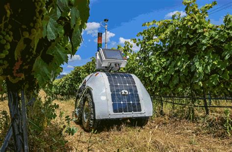 How Robots Are Taking Over Vineyards Wine Enthusiast
