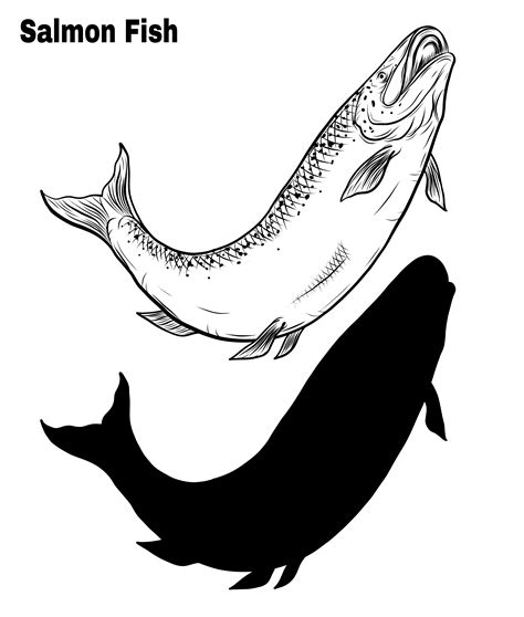 Fish Vector By Hand Drawing 540309 Vector Art At Vecteezy