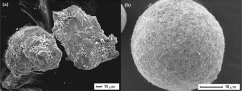Powder Sem Morphologies A Mcraly And B Nano Aggregate Al2o3 13 Download Scientific Diagram