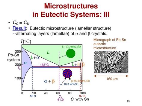 The Fundamentals Of Eutectic Phase Diagrams Exploring Real Life Examples