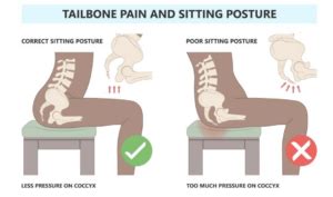 Tailbone Pain When Sitting Pelvic Floor Pt In San Antonio