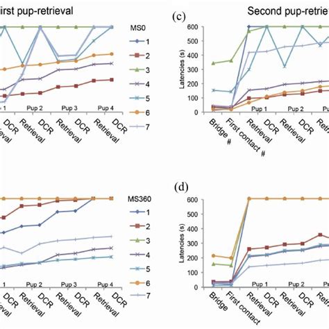 Individual Pup Retrieval Strategies In The First And Second Retrieval