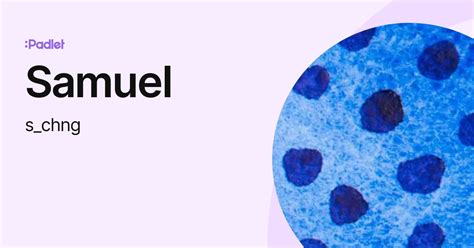 Samuel S Chng Profile Padlet