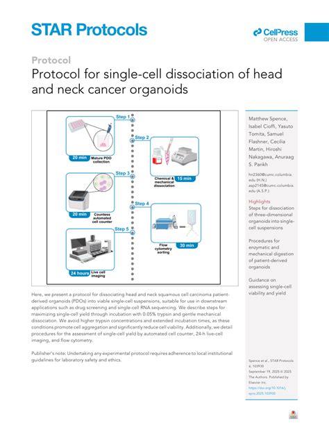Pdf Protocol For Single Cell Dissociation Of Head And Neck Cancer Organoids