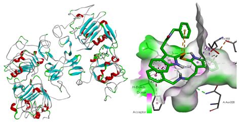 Ssgraphcpi A Novel Model For Predicting Compound Protein Interactions Based On Deep Learning
