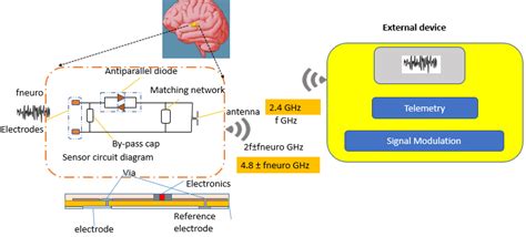 Neural Recording System Sensor Circuit Diagram With Apdp Antenna And