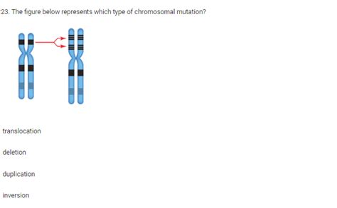 Solved 23 The Figure Below Represents Which Type Of