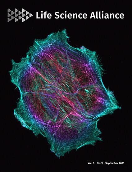 Differential Roles Of Ctp Synthetases Ctps1 And Ctps2 In Cell