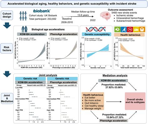 Accelerated Biological Aging Healthy Behaviors And Genetic