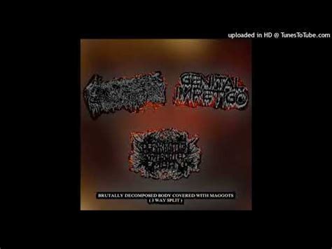 Inanimate Flesh Genital Impetigo Deformation Of Aborted Embryo Way Split YouTube