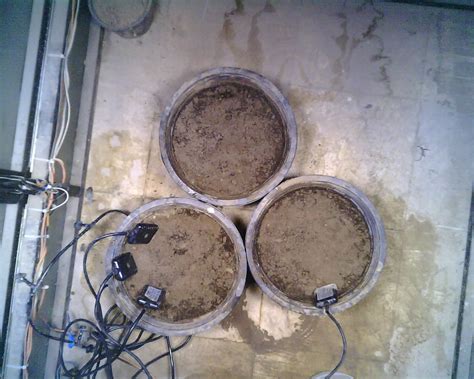 Red Radish Dataset Roboflow Universe