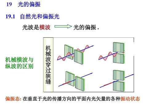 光的偏振word文档在线阅读与下载免费文档