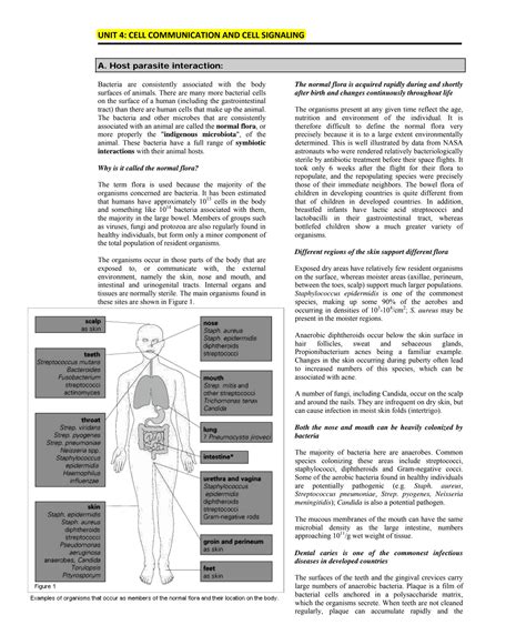 SOLUTION Csir Unit Cell Communication And Cell Signaling Studypool