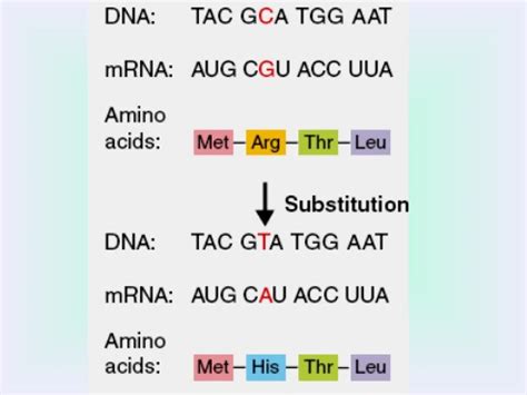 Mutations Power Point SCIENCE BIOLOGY Ppt