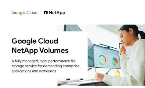 NetApp Volumes