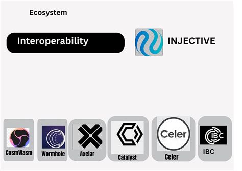 Exploring Interconnectivity Across The Injective Ecosystem By Bilqis Bello Mar 2024 Medium