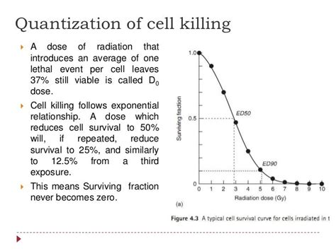 Cell Survival Curve