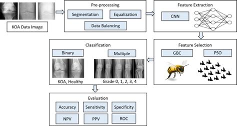 Optimized Feature Selection For Enhanced Accuracy In Knee Osteoarthritis Detection And Severity