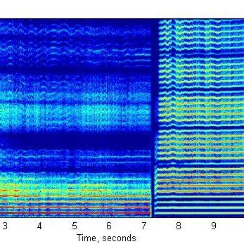 Spectrogram Of Showing Frequency Vs Time For Different Horns Played Download Scientific