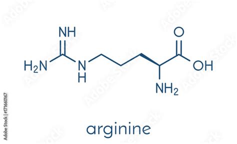 Arginine L Arginine Arg R Amino Acid Molecule Skeletal Formula