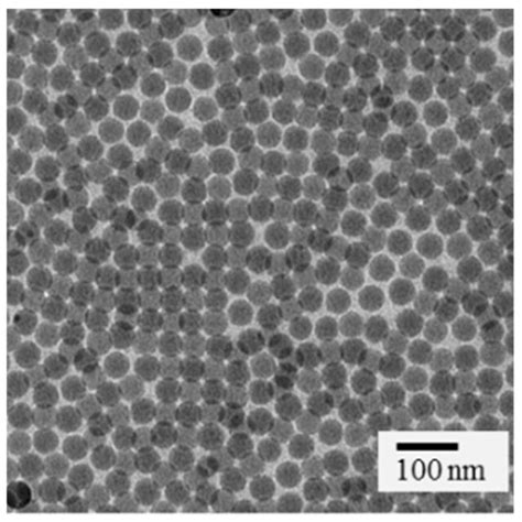 Tem Image Of 45 Nm Sio2 Nps Sio2 Nps Exhibit A Uniform And Spherical