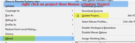 Java Unable To Get Groovy Version From Groovysystem Trying