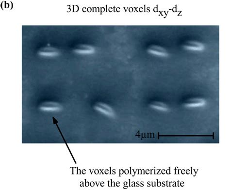 Achievement Of Sub Diffraction Limit Voxel B Sem Image Of Complete Download Scientific
