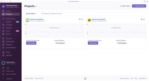 Monitor And Error Track With Sentry In Custom Hooks Directus Docs