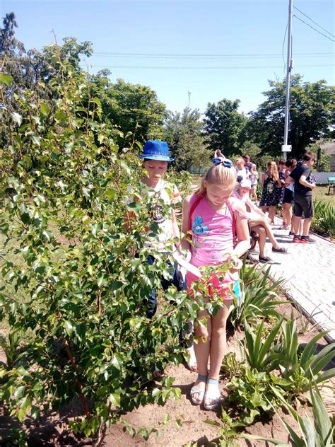 Верхньорогачицький опорний заклад повної загальної середньої освіти Added