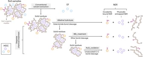 Workflow Of Solvent Extraction And Stepwise Chemical Download Scientific Diagram