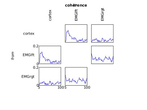 Analysis Of Sensor And Source Level Connectivity Fieldtrip Toolbox