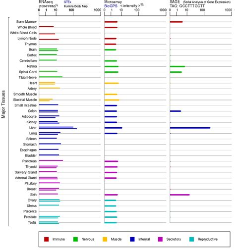 C5 Gene Genecards Co5 Protein Co5 Antibody