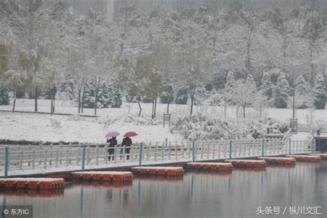 原創詩歌瑞雪 來南方樅陽 胡國友 每日頭條